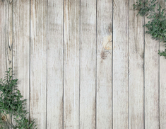 aDOORable Custom Cuts